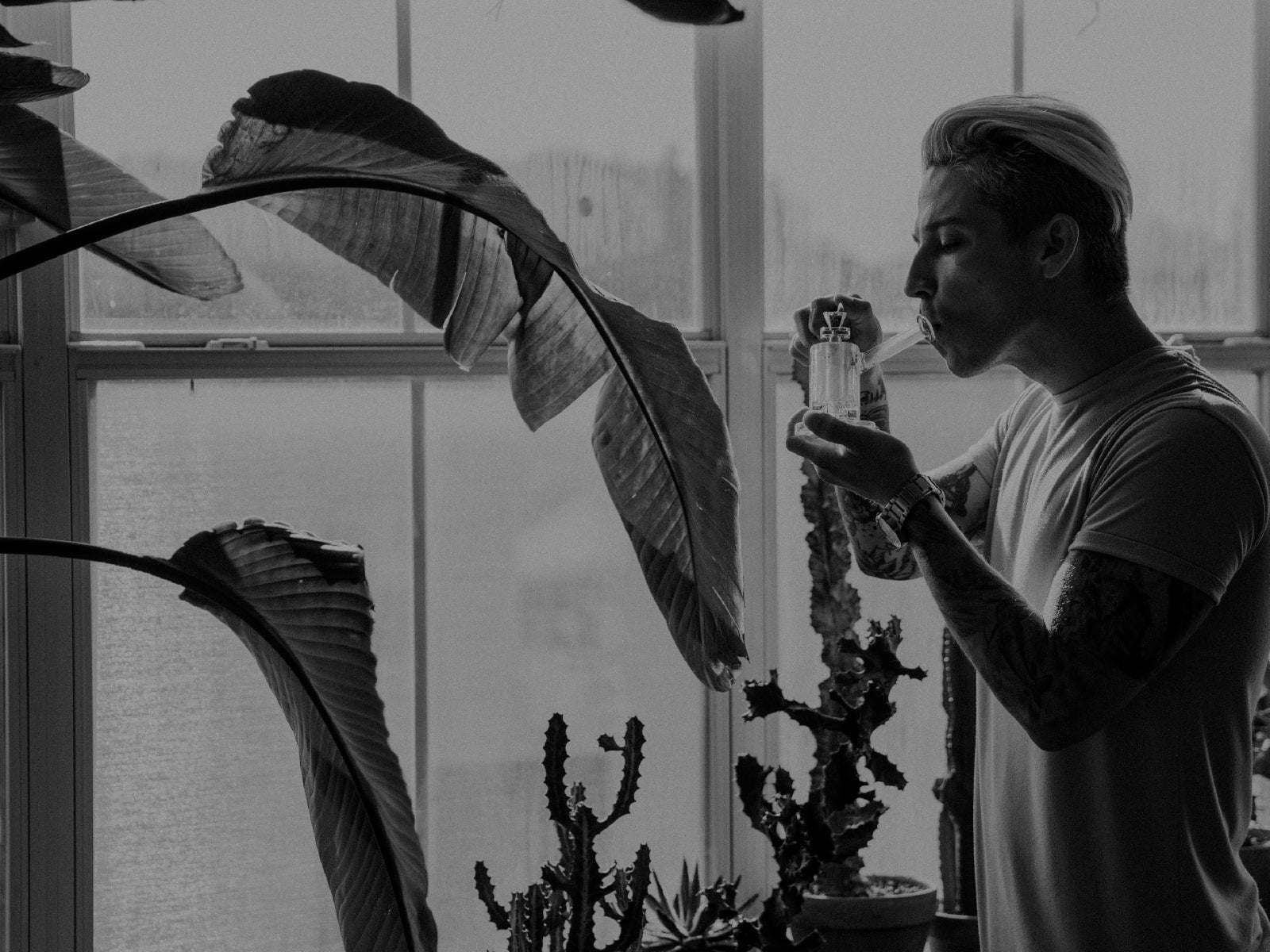 Higher Standards | Created for Connoisseurs – HIGHER STANDARDS